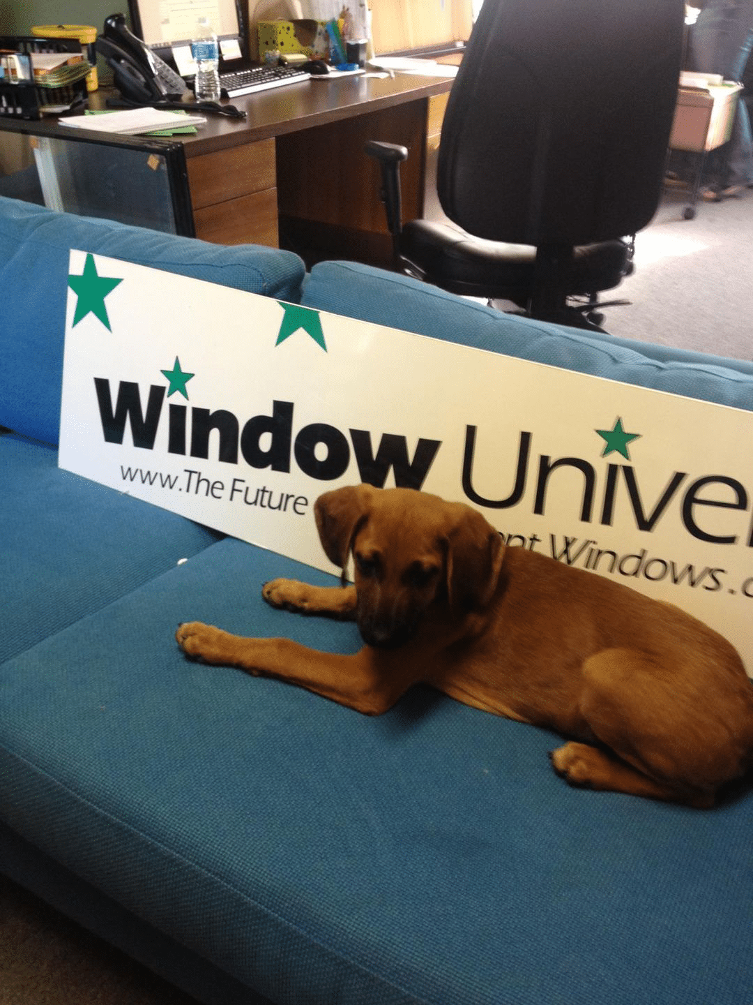 #1 NO-HASSLE Replacement Windows Hartford, CT - Tax Credit